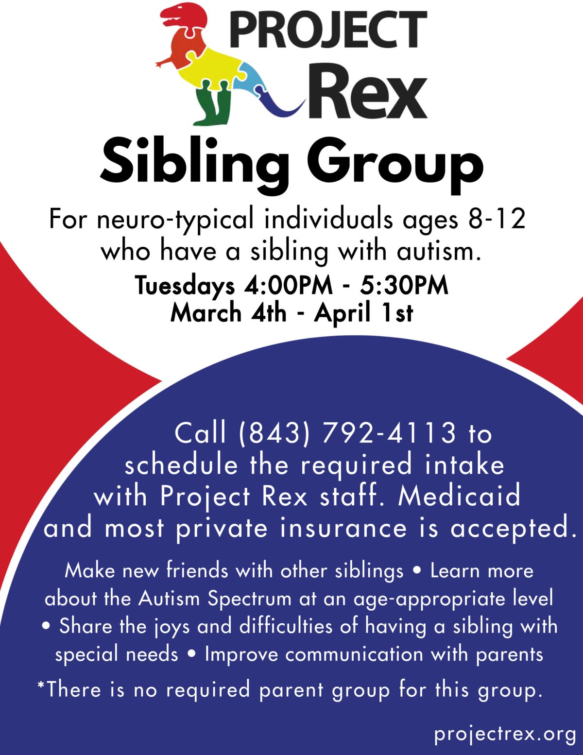 Winter 2025 Sibling Support Group for Ages 8-12 Begins March 4th. – Project Rex